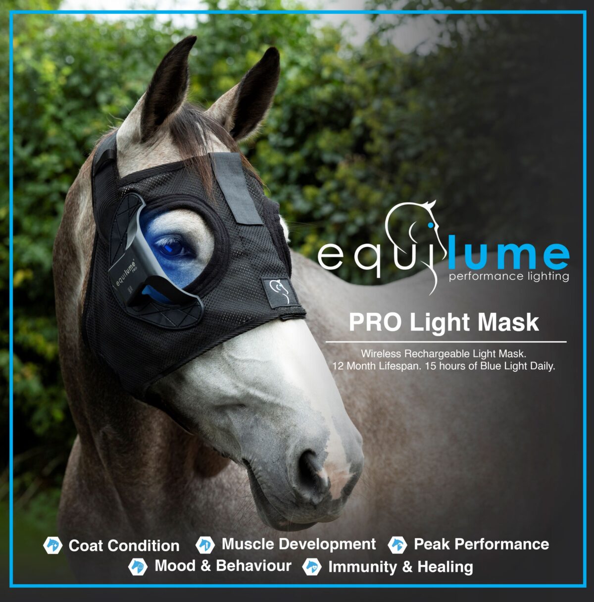 Online Auction – Melbourne International 3 Day Event